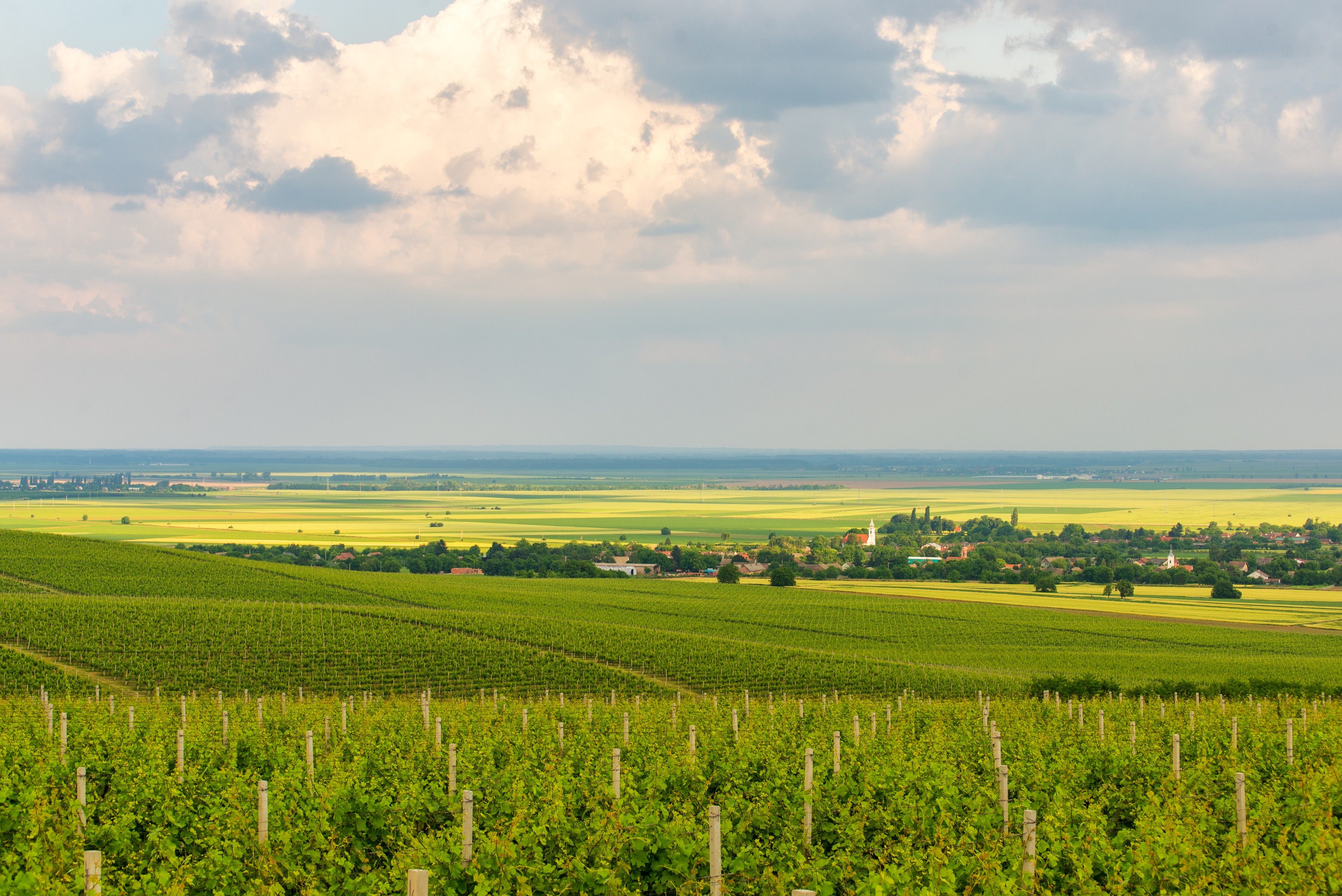 Baranja: davne priče, okusi djetinjstva i topli karakter